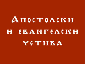 Medieval Cyrillic Free Fonts. Старославянские шрифты. Старобългарски ...