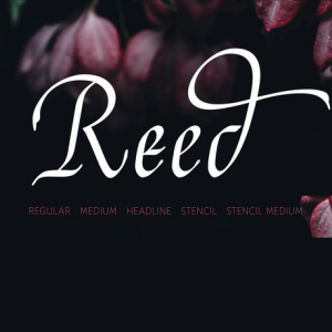 Reed